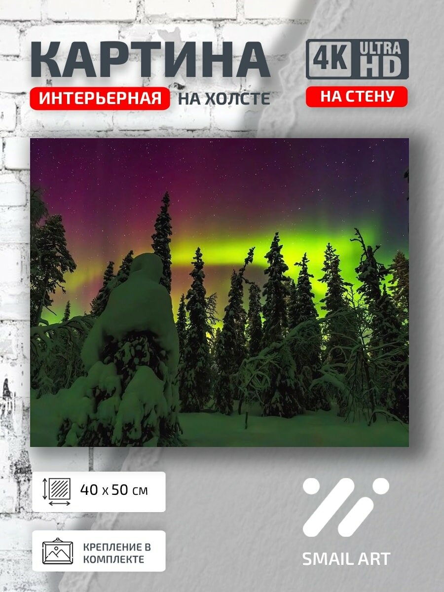 Картина на холсте интерьерная 40 на 50 на стену Северное сияние для студии атмосфера