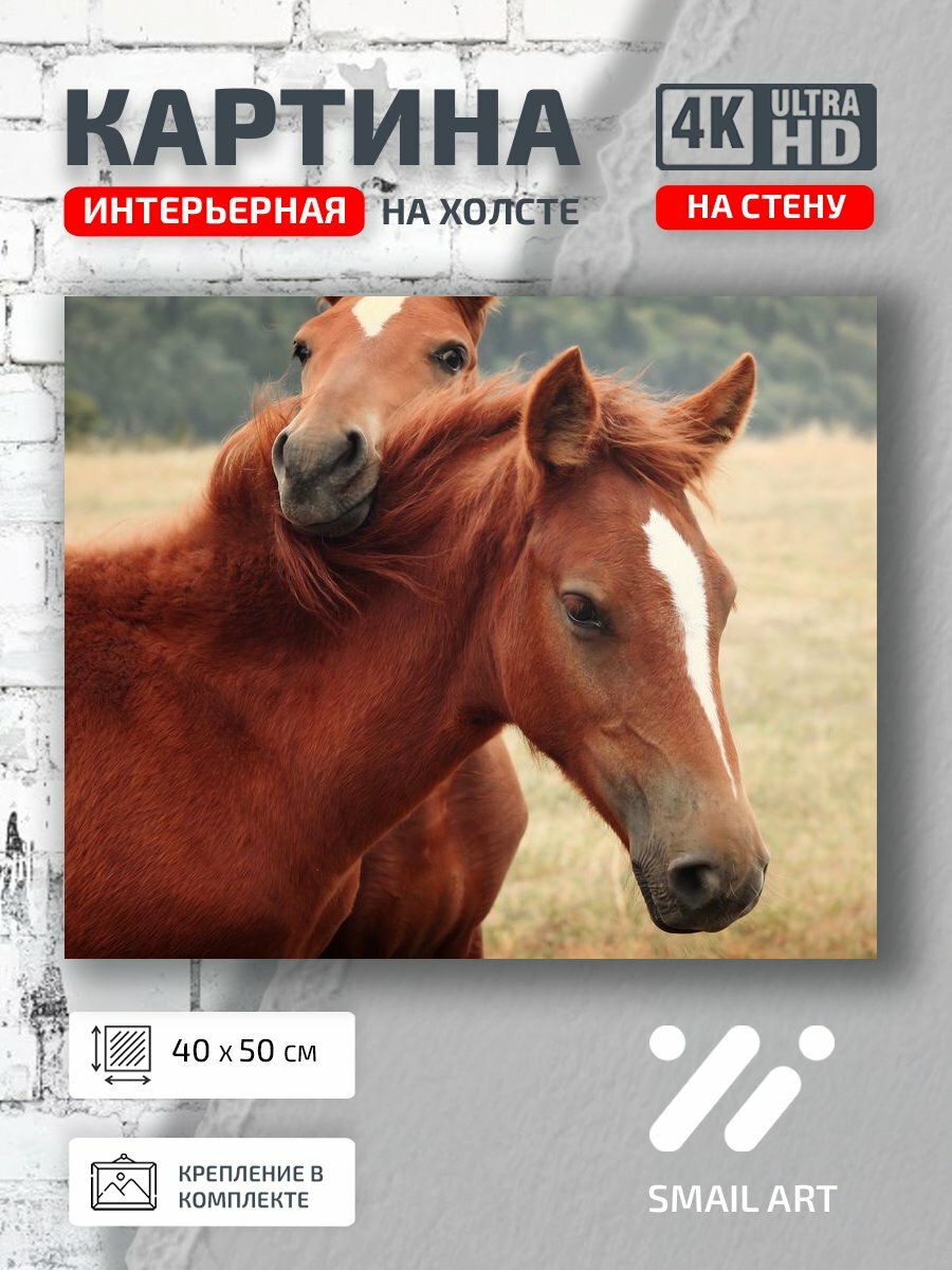 Картина на холсте интерьерная 40 на 50 на стену Поле Landscape для кабинета пейзаж интерьер