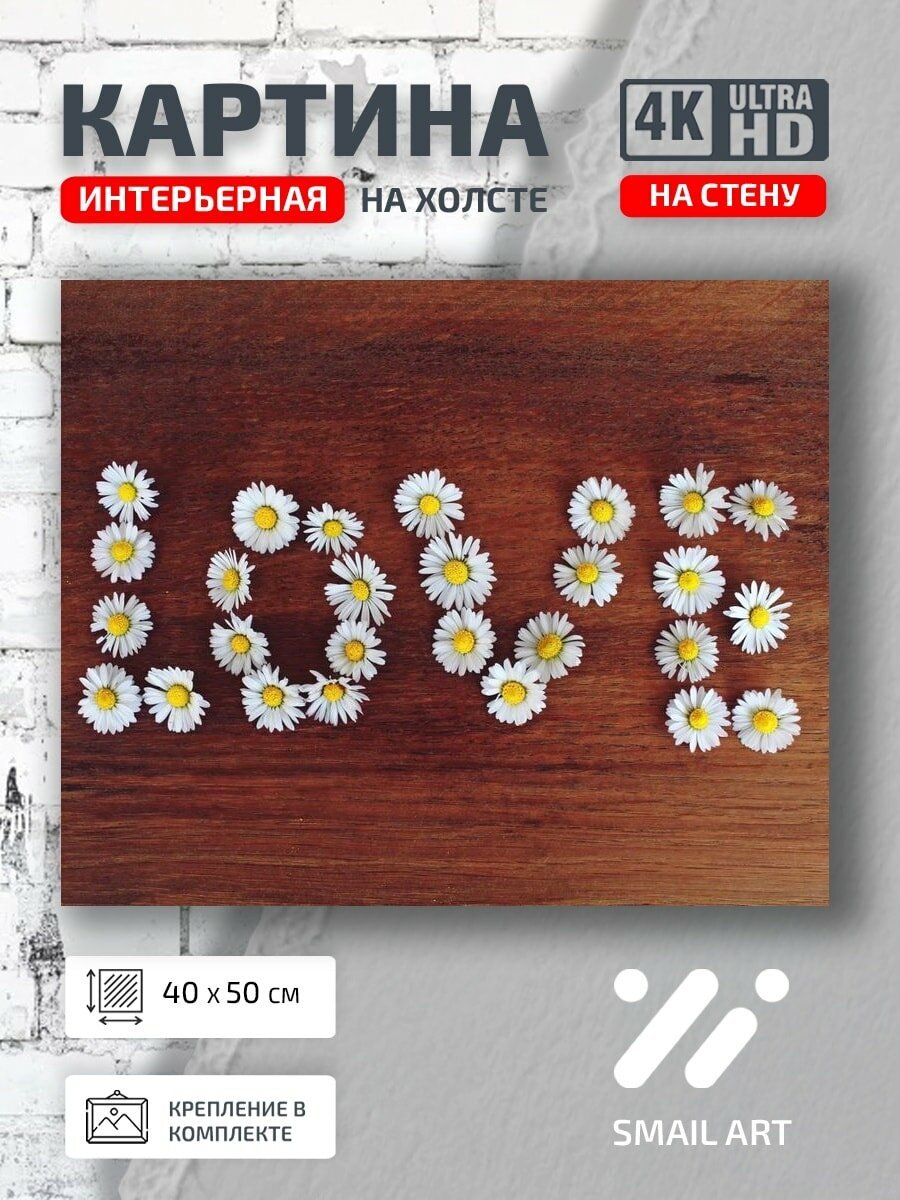 Картина на холсте интерьерная 40 на 50 на стену любви ромашки для офиса атмосфера