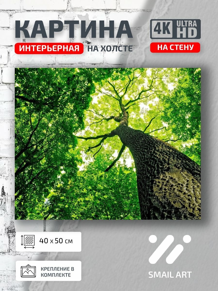 Картина на холсте интерьерная 40 на 50 на стену Лето tree для кабинета пейзаж интерьер