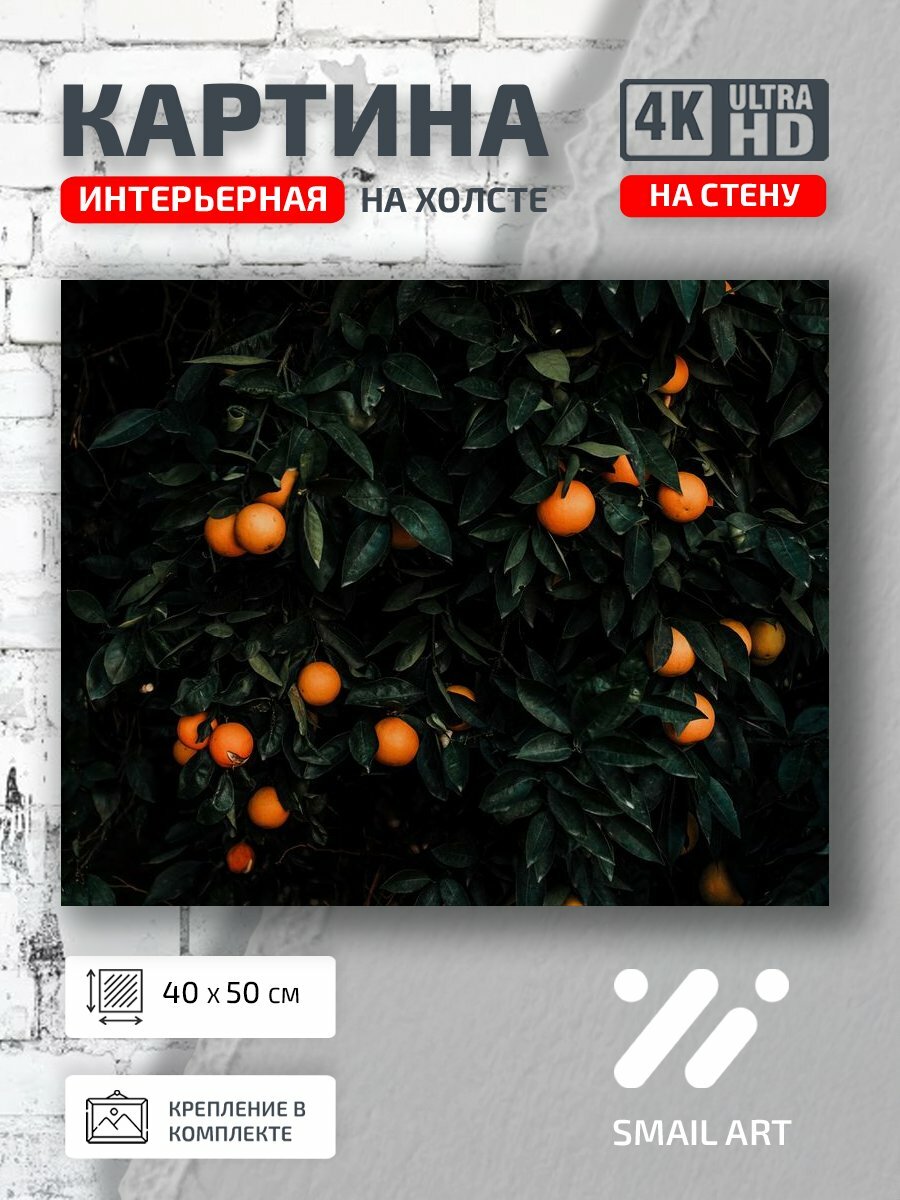 Картина на холсте интерьерная 40 на 50 на стену Листья Landscape для офиса пейзаж интерьер