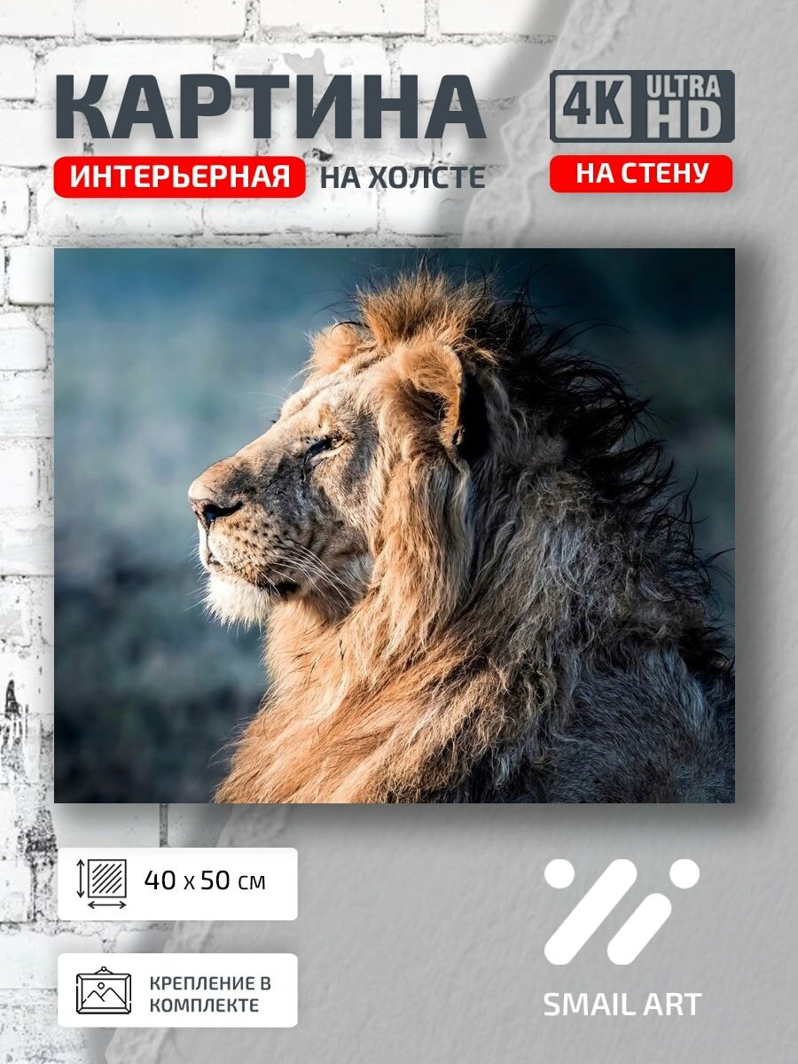 Картина на холсте интерьерная 40 на 50 на стену Животные Лев для офиса атмосфера