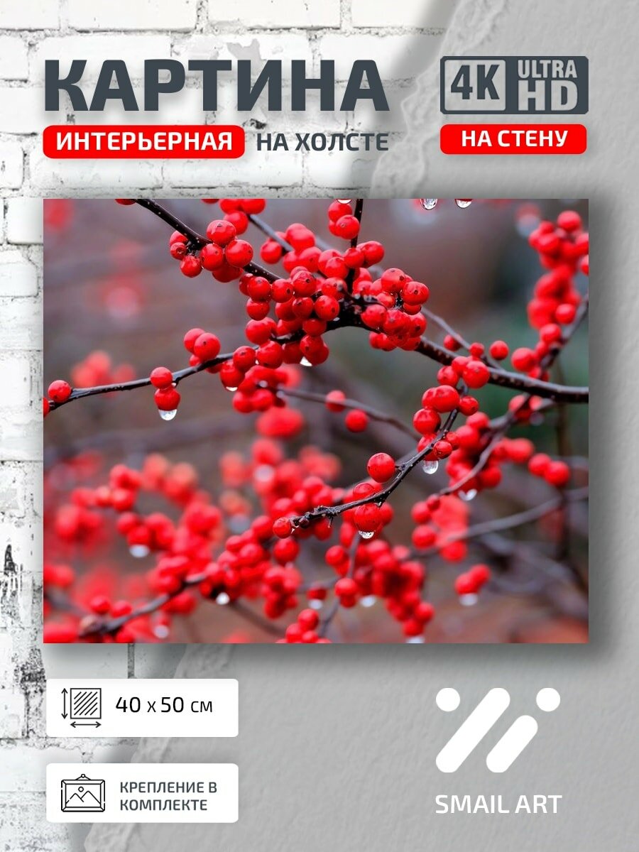 Картина на холсте интерьерная 40 на 50 на стену Макро Рябина для офиса атмосфера