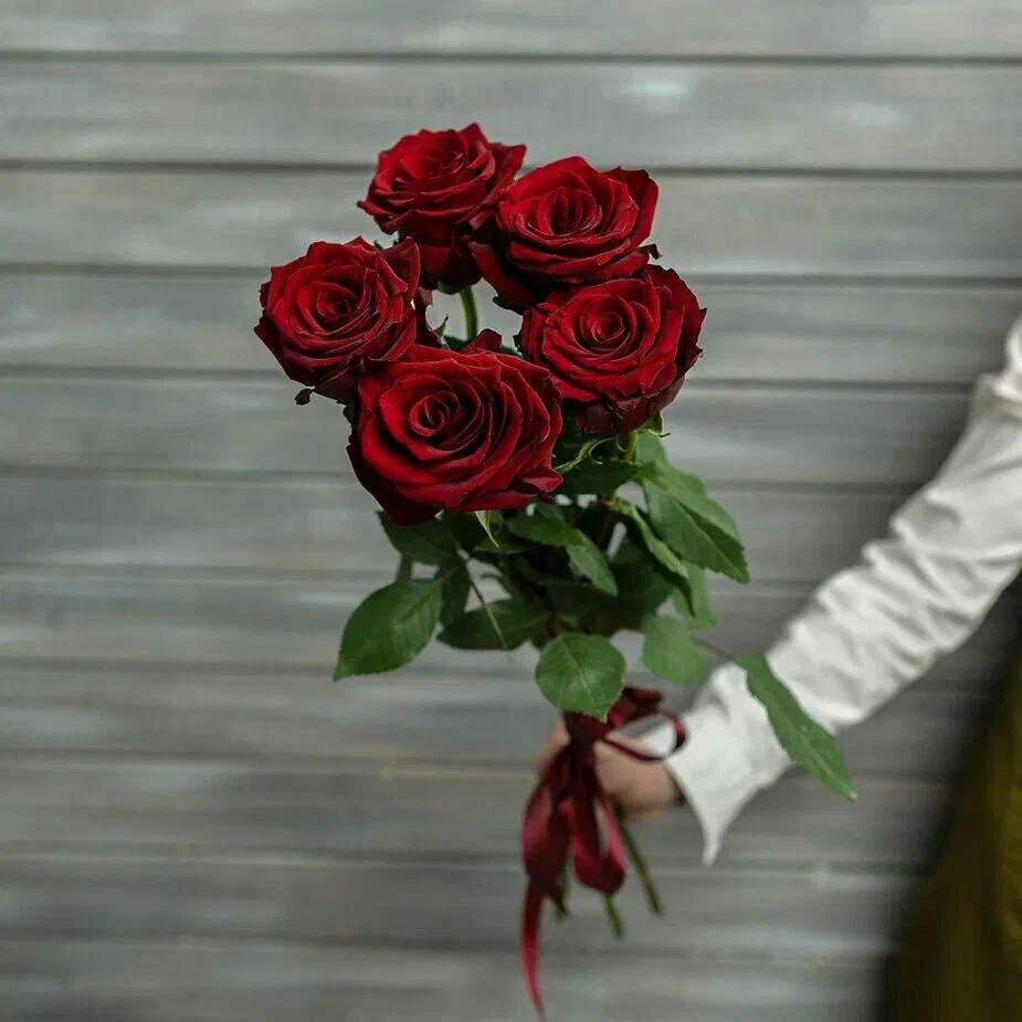 Букет из 5 роз сорта "Эксплорер" под ленту