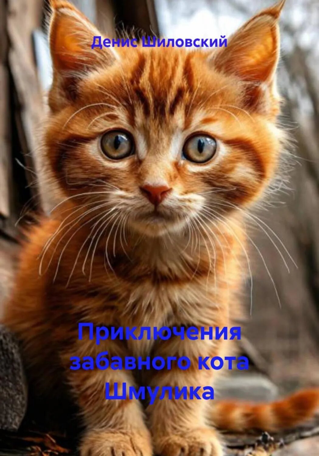Приключения забавного кота Шмулика [Цифровая книга]