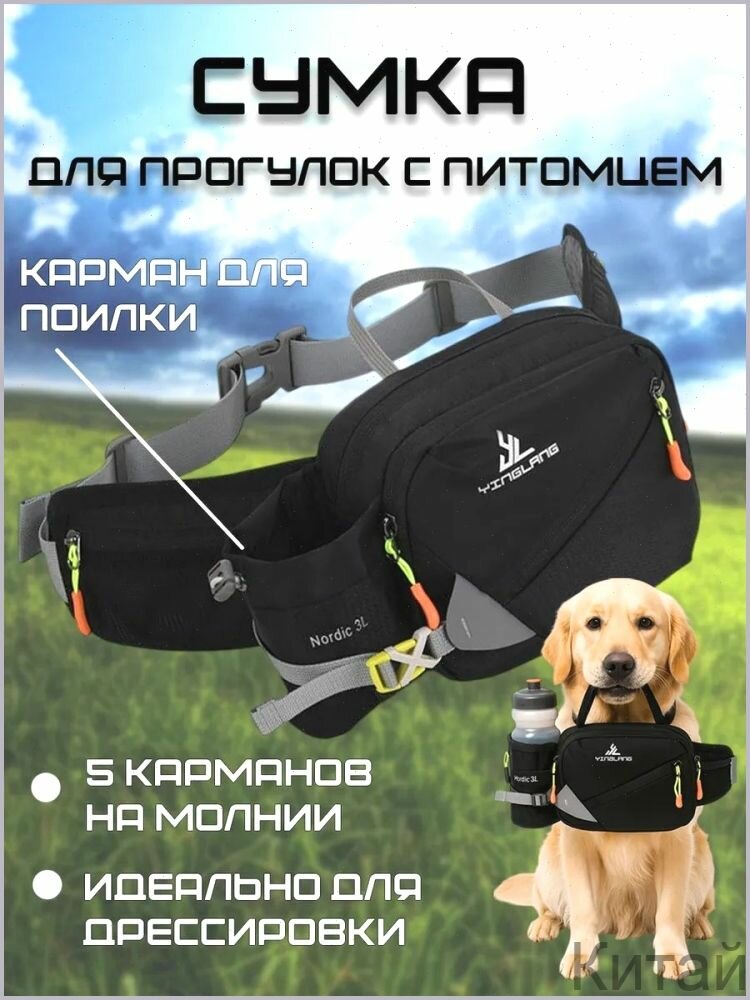 Сумка для лакомства и прогулок с собакой