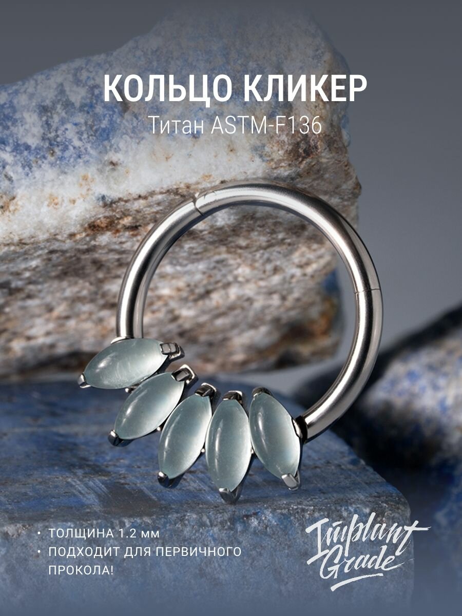 Пирсинг Implant Grade