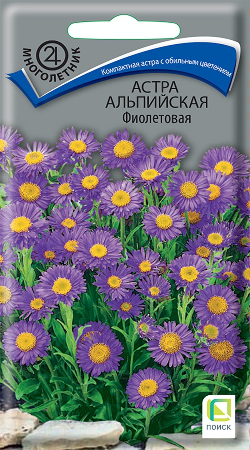 Семена цветов Поиск астра альпийская фиолетовая, для дачи, сада, огорода и на рассаду