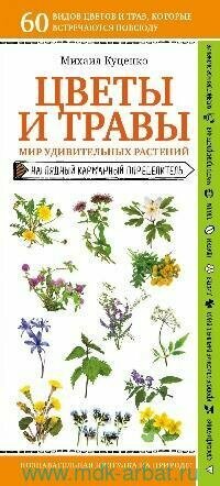 Книга "Цветы и травы. Мир удивительных растений : наглядный карманный определитель"