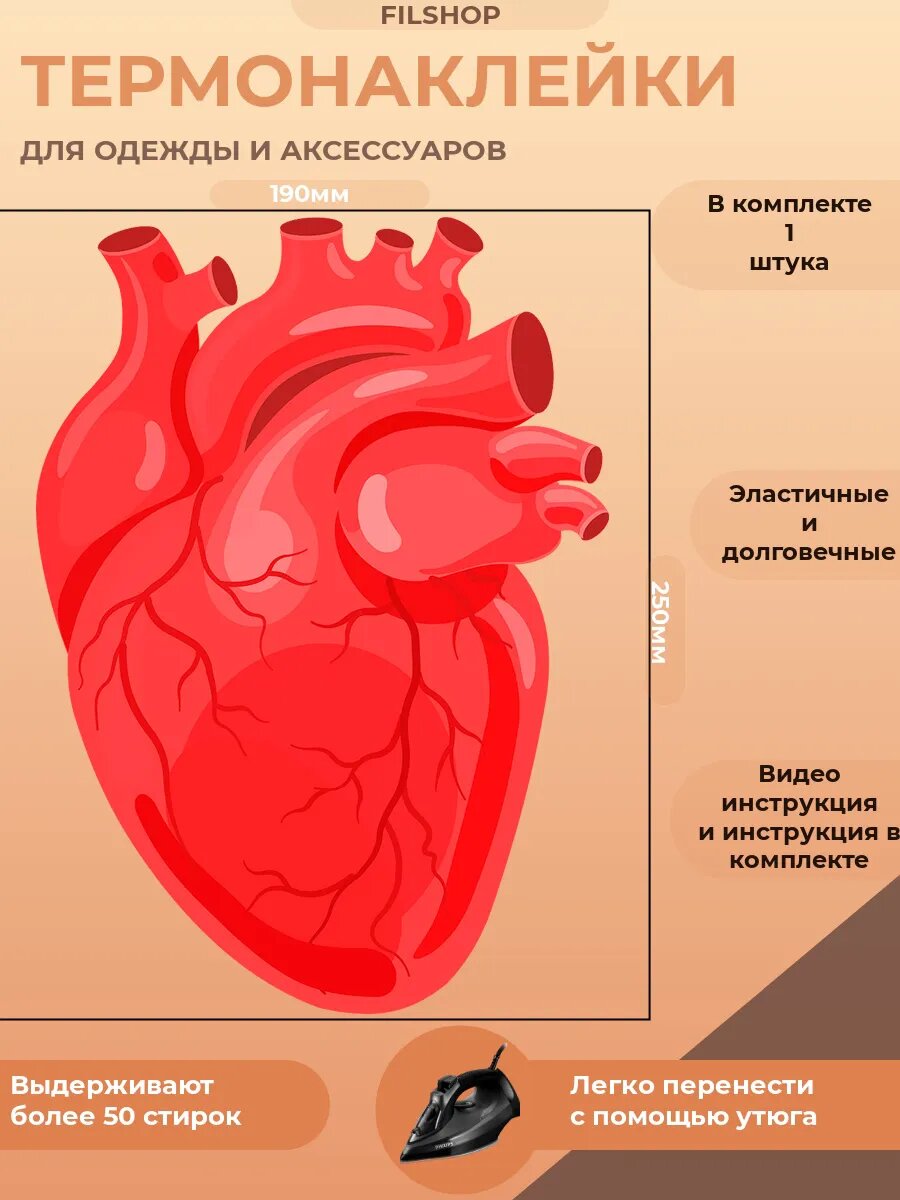 Термонаклейка на одежду