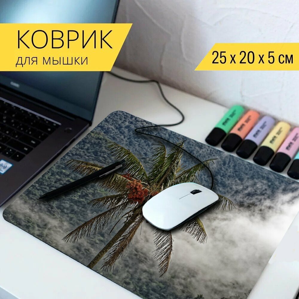Коврик для мыши с принтом "Колумбия, el bosque de palmas, пальмы" 25x20см.