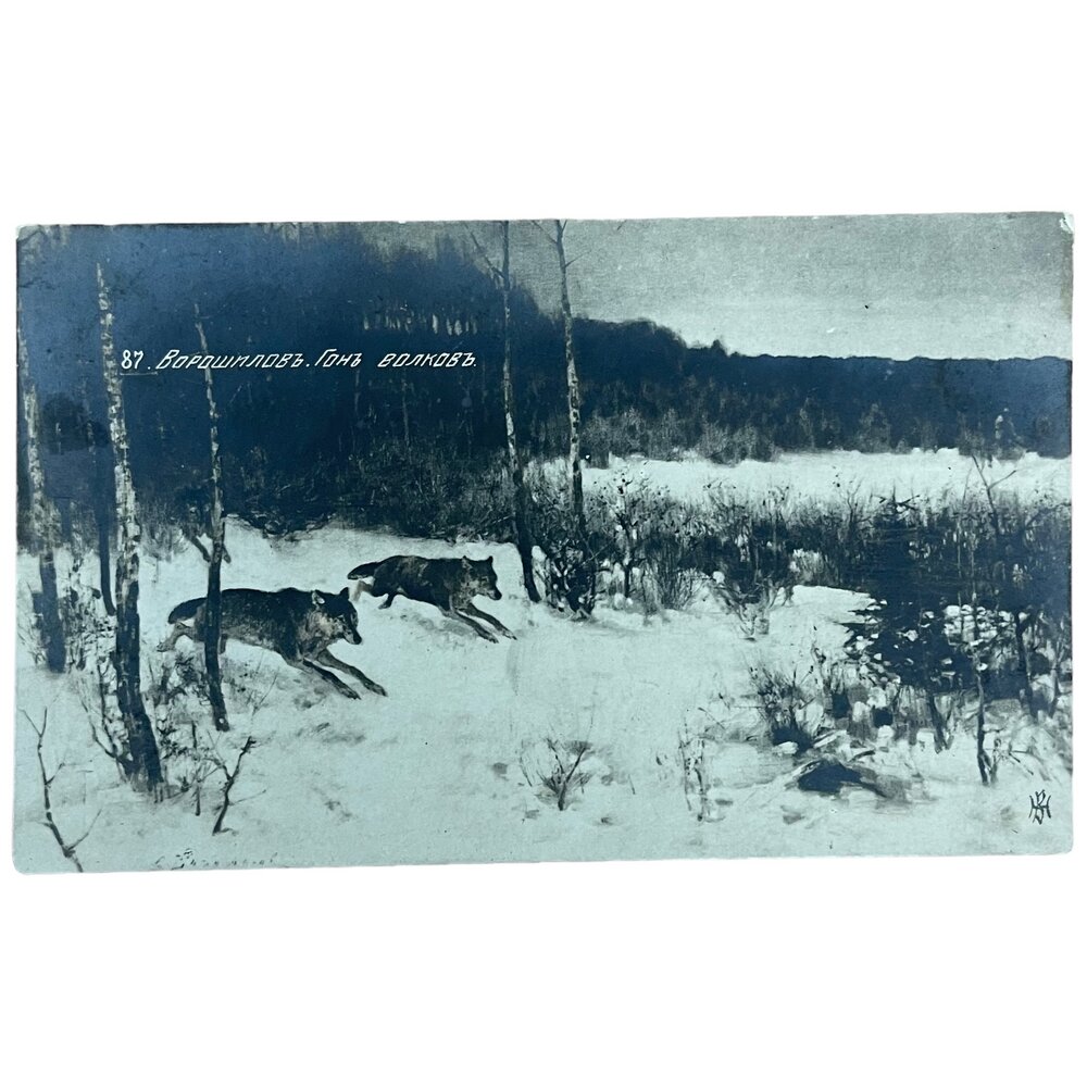 Почтовая открытка "Ворошилов. Гон волков" 1900-1917 гг. Российская Империя