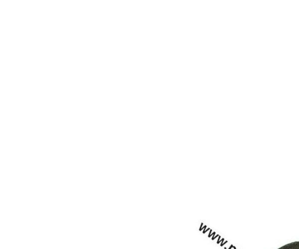 Крепеж номерного знака garde винт с катафотом 4 шт g4400