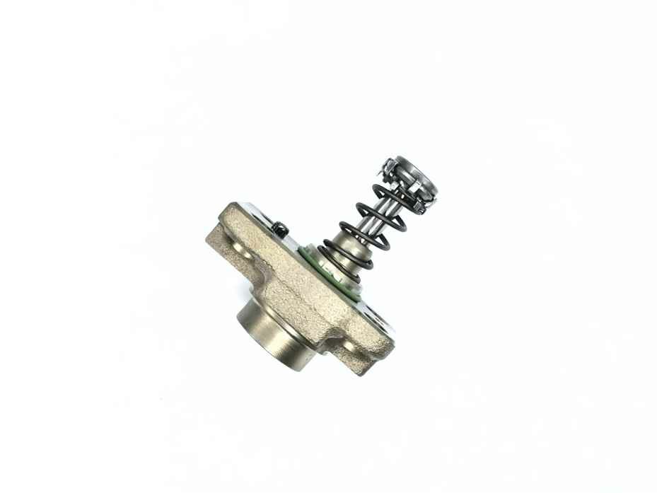 Плунжерная пара F01M100869