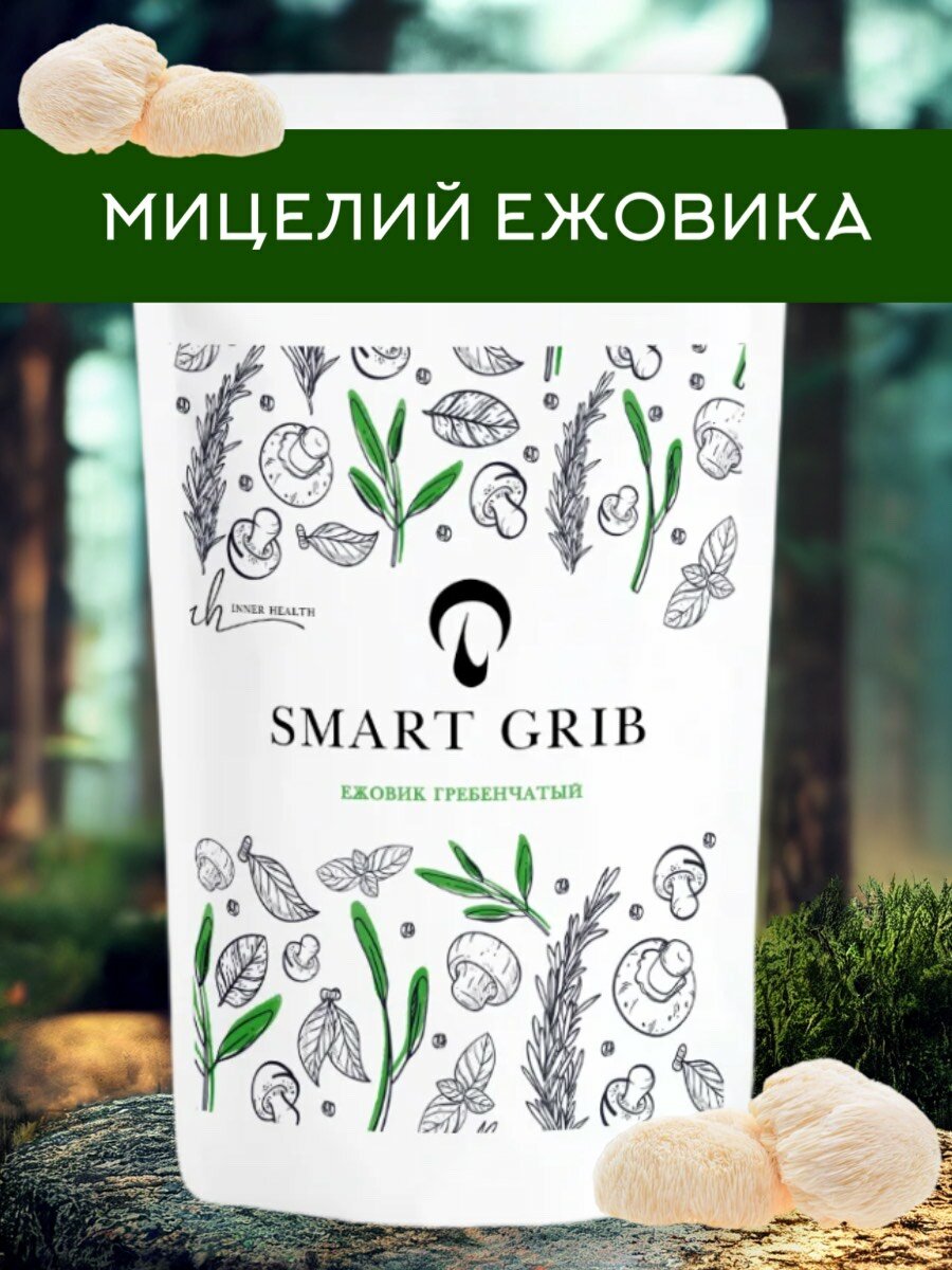 Гриб ежовик гребенчатый, природная реанимация нервных клеток, ноотроп, нормализует сон, порошок, 100г