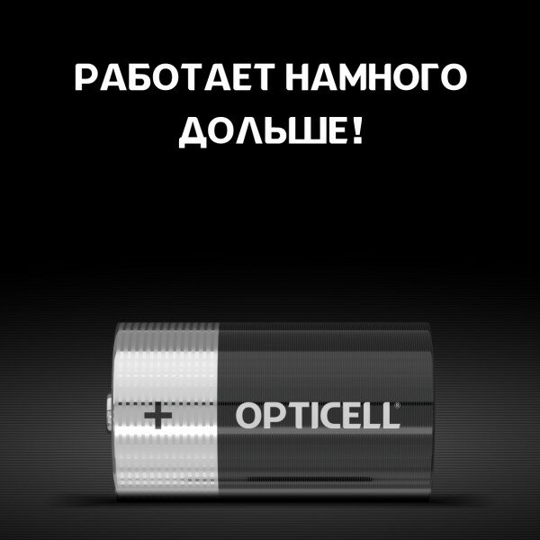 Батарейки Opticell D/LR 20 Basic, 2 шт. — фото 1