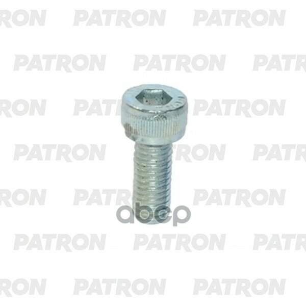 Болт металлический имбус болт универсальный M10X45 PATRON арт. P37-3092T