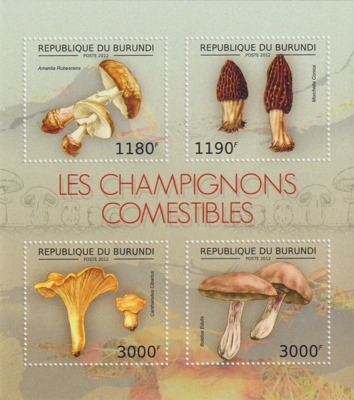 Почтовые марки Бурунди 2012г. "Флора - Грибы" Грибы, Флора MNH