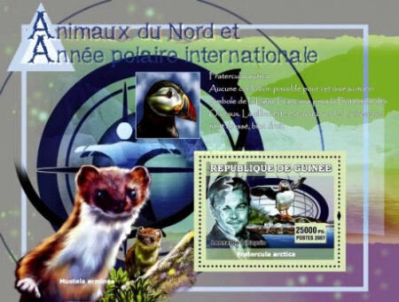 Почтовые марки Гвинея 2007г. "Международный полярный год и животные Севера" Фауна, Актеры MNH