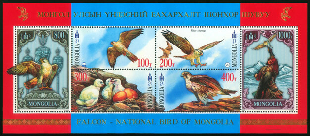 Почтовые марки Монголия 2013г. "Соколы" Птицы MNH