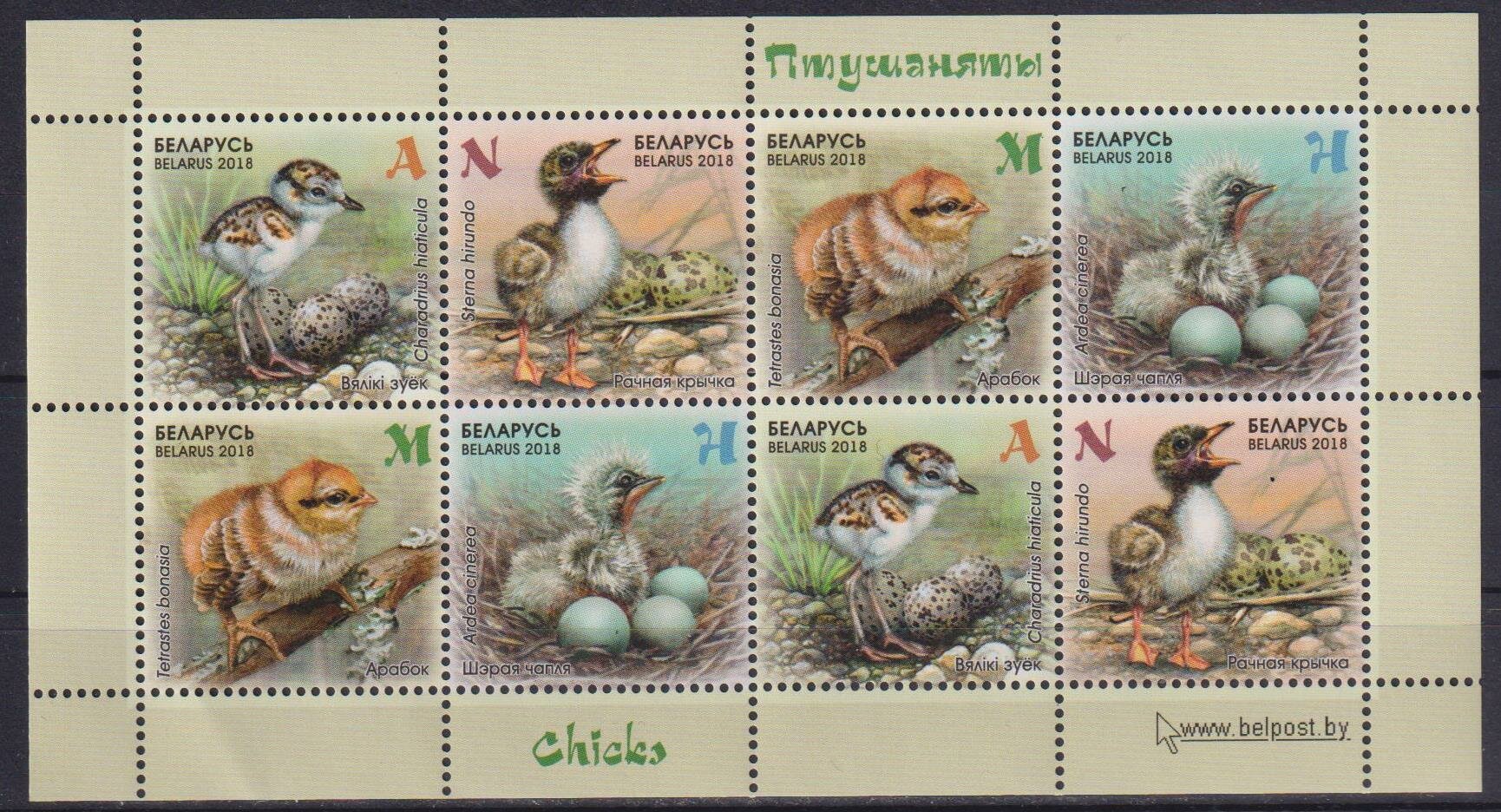 Почтовые марки Беларусь 2018г. "Птенцы" Птицы, Яйца MNH