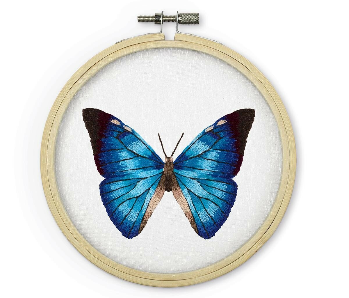 Бабочка. Морфо адонис JK-2235