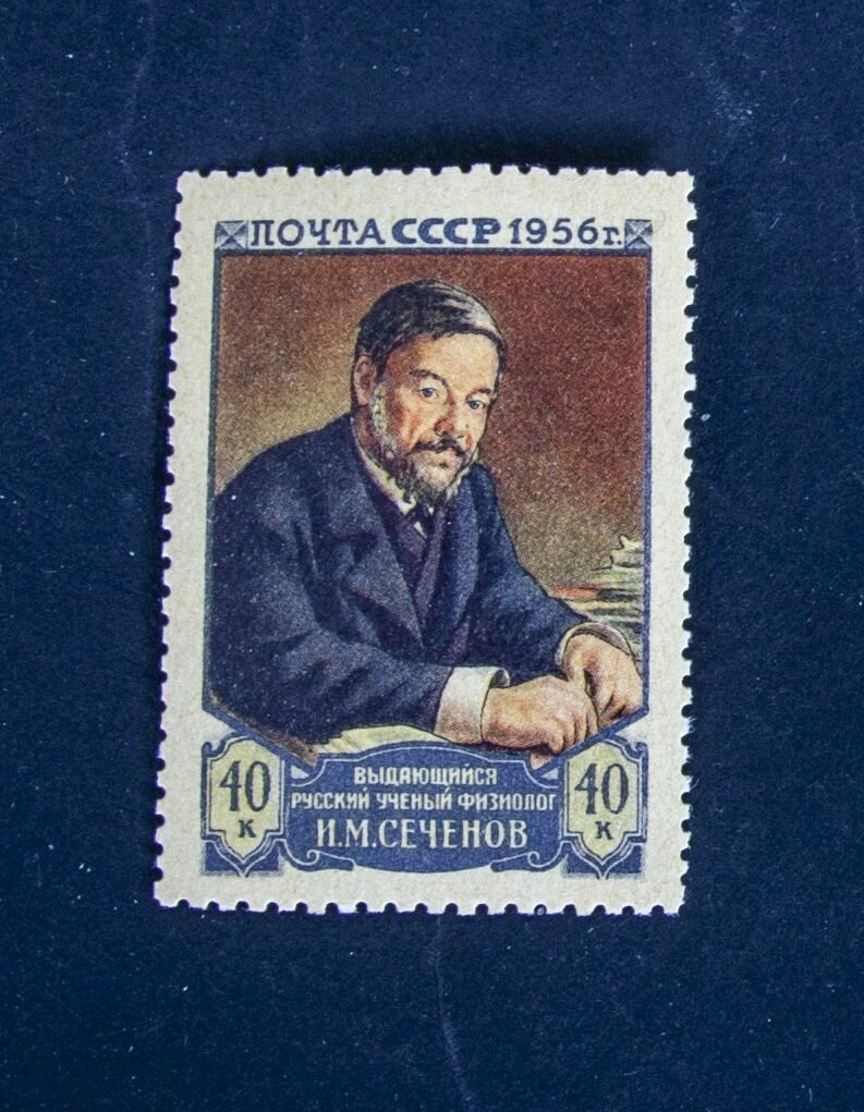 СССР 1956 50 лет со дня смерти И. М. Сеченова