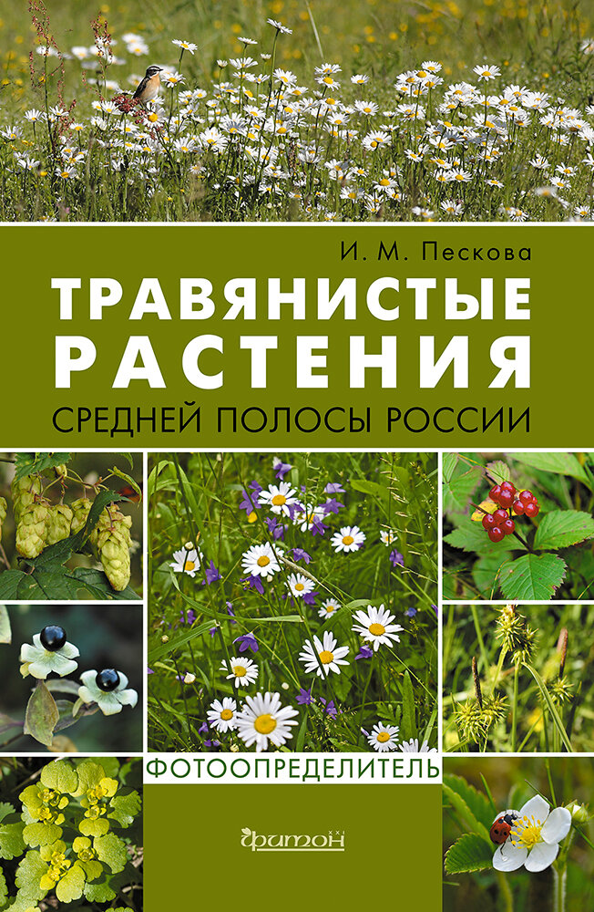 Травянистые растения средней полосы России. Фотоопределитель / Пескова И.