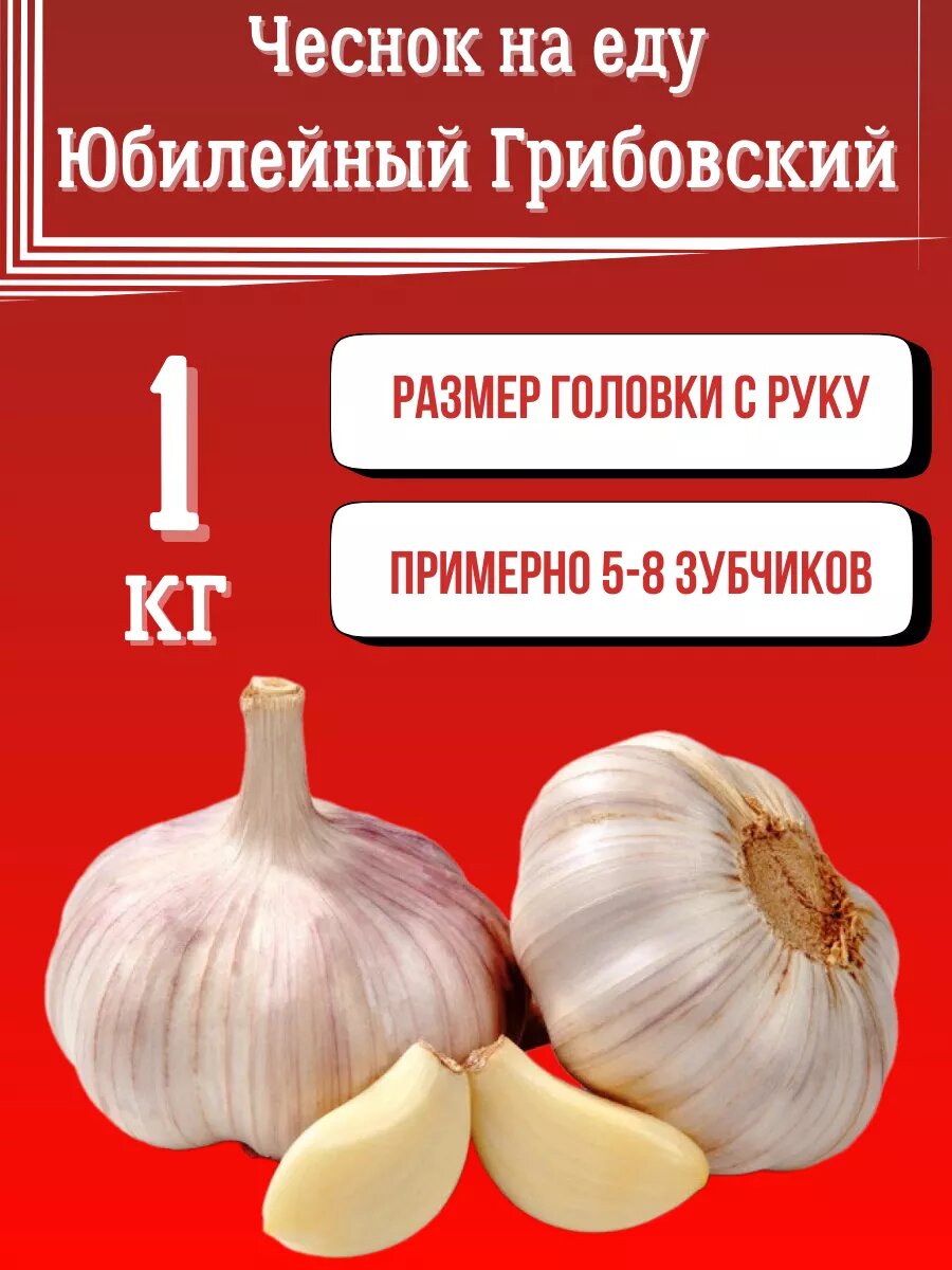 Чеснок для еды Россия.