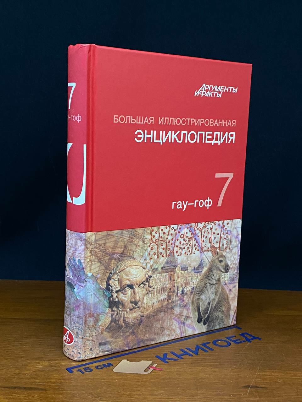 Книга. Большая иллюстрированная энциклопедия. Том 7 2010 (2042023739411)