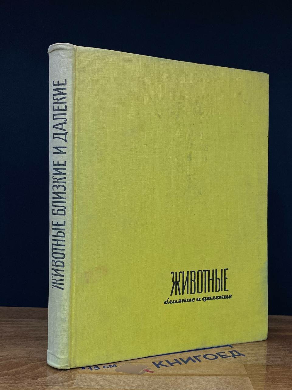 Книга. Животные близкие и далекие.. 1962 (2042506690994)