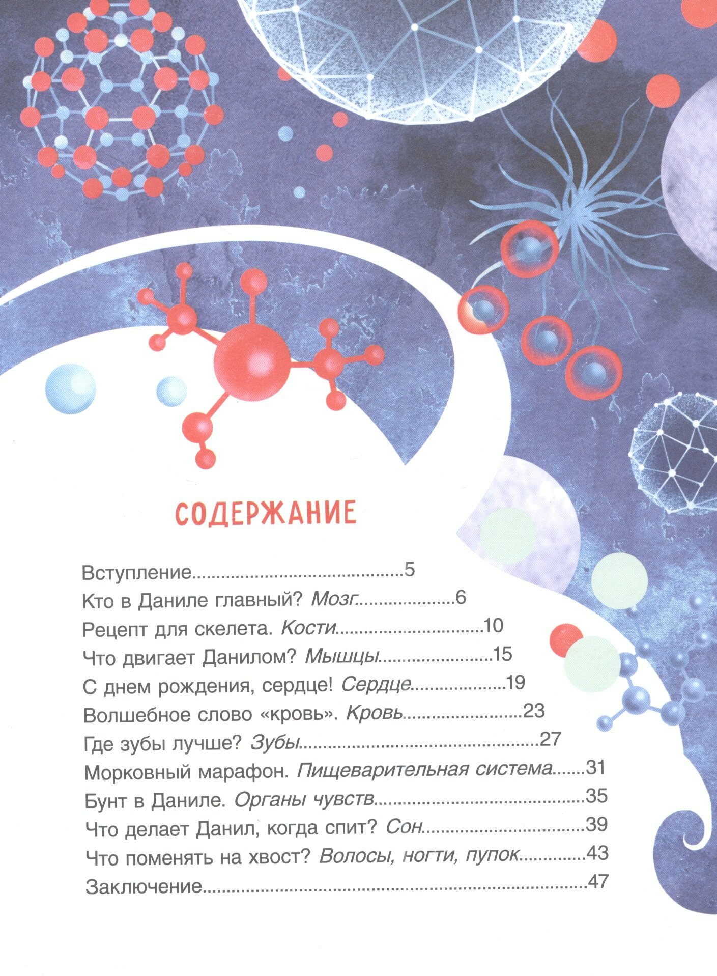 Тело человека — фото 1