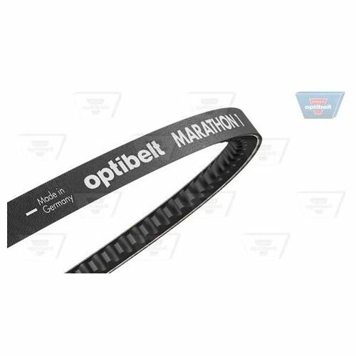 Ремень клиновой Optibelt AVX10X800