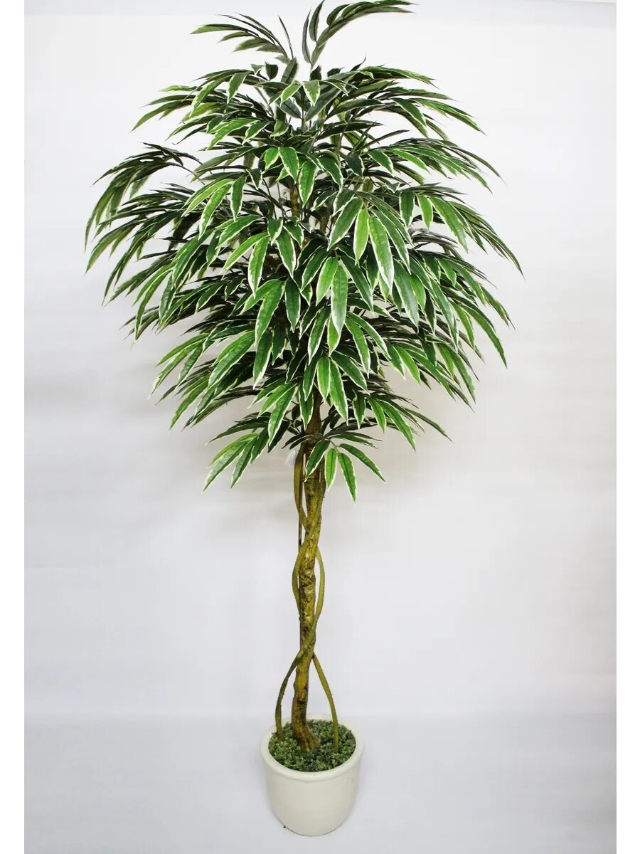 Дерево манго искусственное, 200 см, бренд CONEKO - декор для дома и офиса