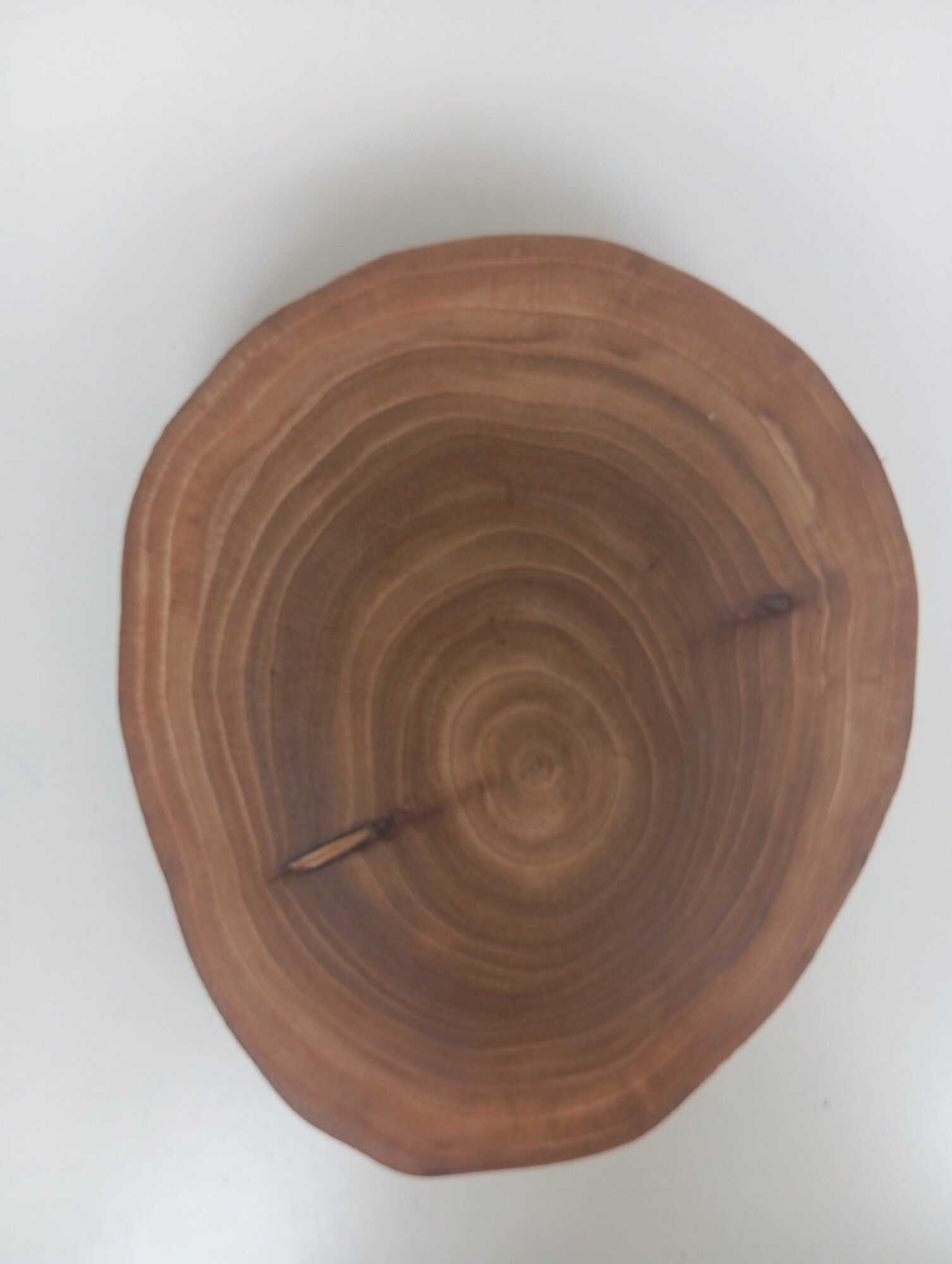 Спил дерева карагач, заготовка,15/13/3,0см