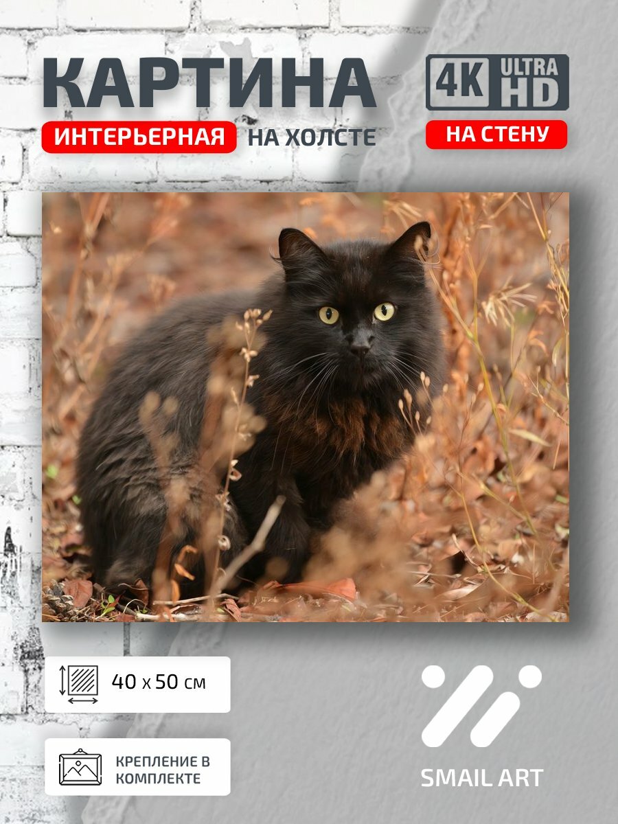 Картина на холсте интерьерная 40 на 50 на стену Пушистая Animal для кафе animal style декор