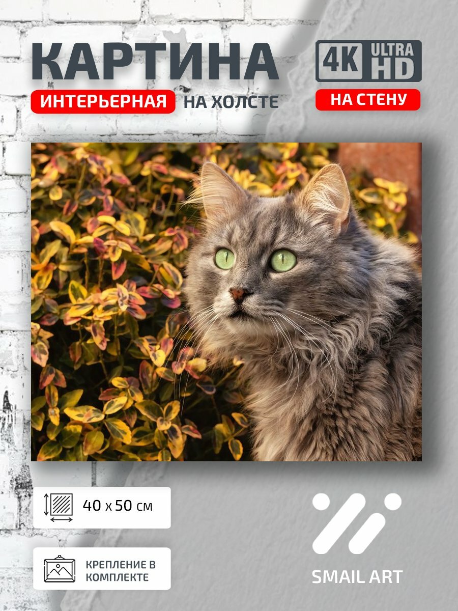 Картина на холсте интерьерная 40 на 50 на стену Шерсть Animal для кафе animal style декор