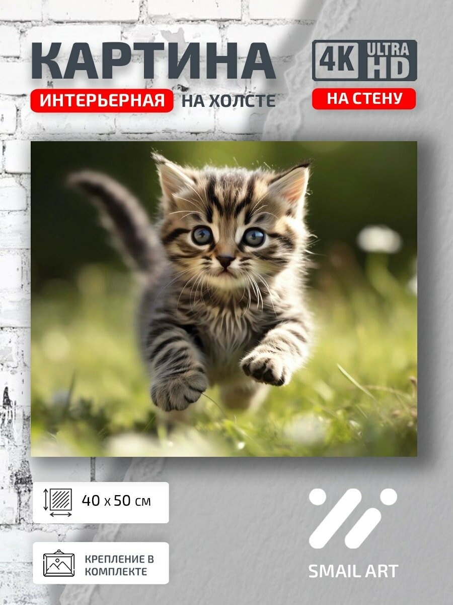 Картина на холсте интерьерная 40 на 50 на стену Животные Котенок для гостиной атмосфера