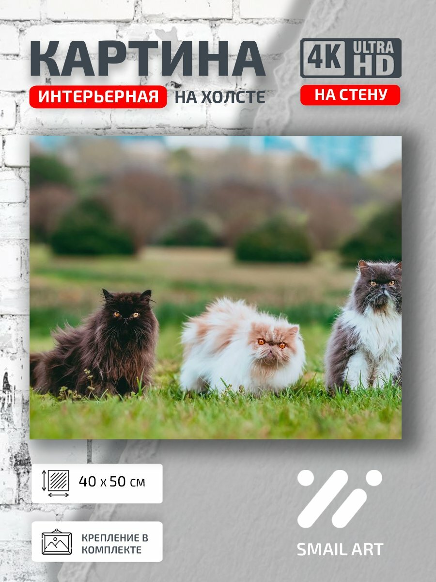 Картина на холсте интерьерная 40 на 50 на стену Пушистый Animal для детской animal style
