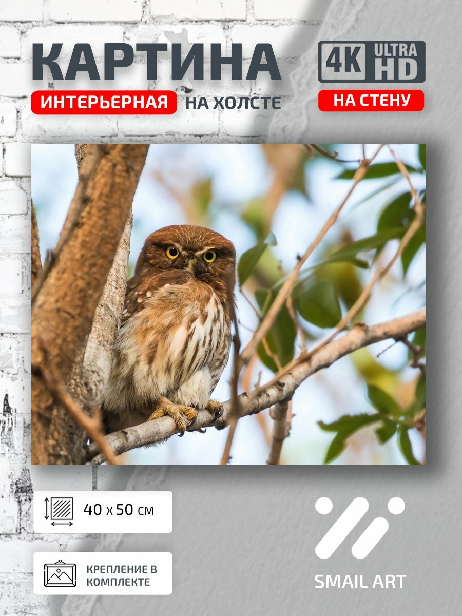 Картина на холсте интерьерная 40 на 50 на стену Дерево Landscape для гостиной пейзаж декор