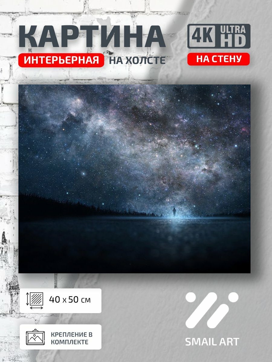Картина на холсте интерьерная 40 на 50 на стену Землей Space для киномана космос интерьер