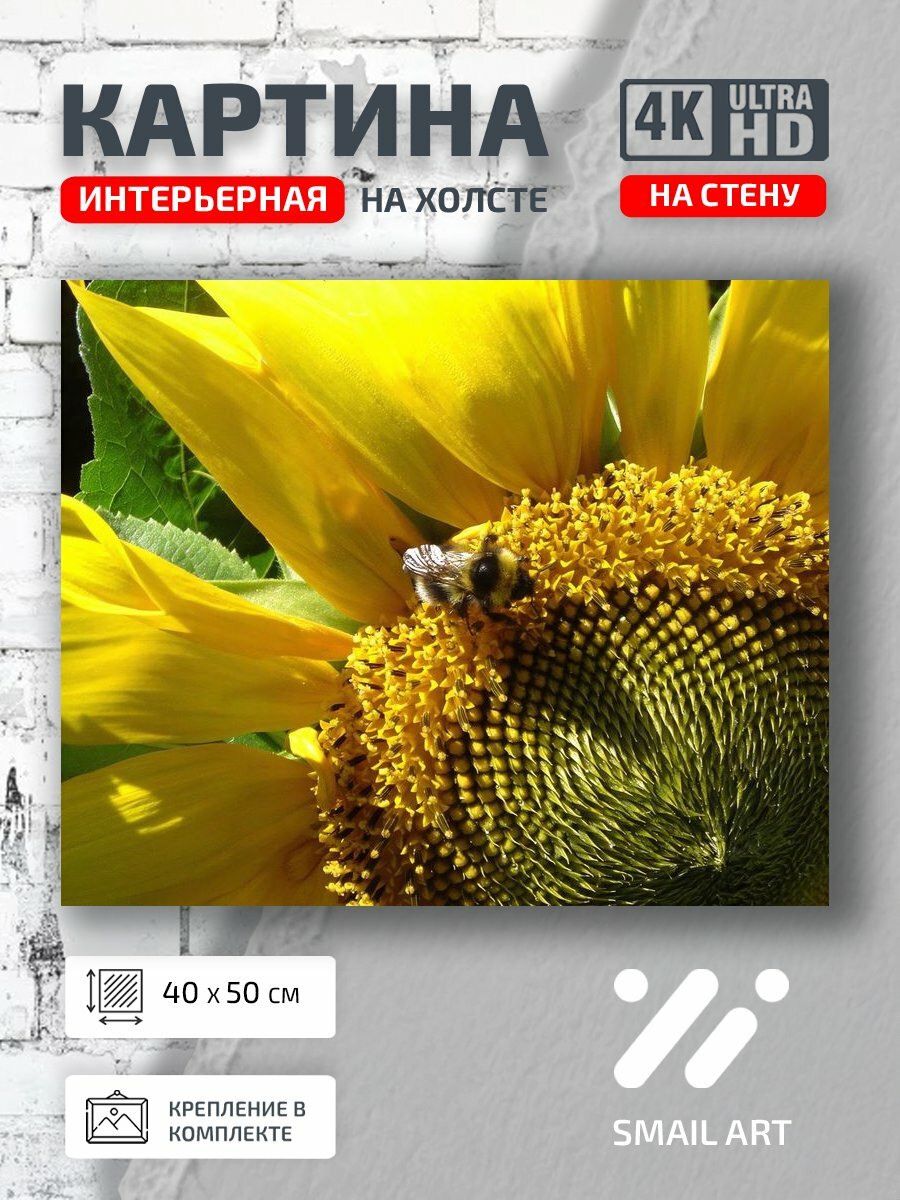 Картина на холсте интерьерная 40 на 50 на стену Лето Landscape для кафе пейзаж интерьер