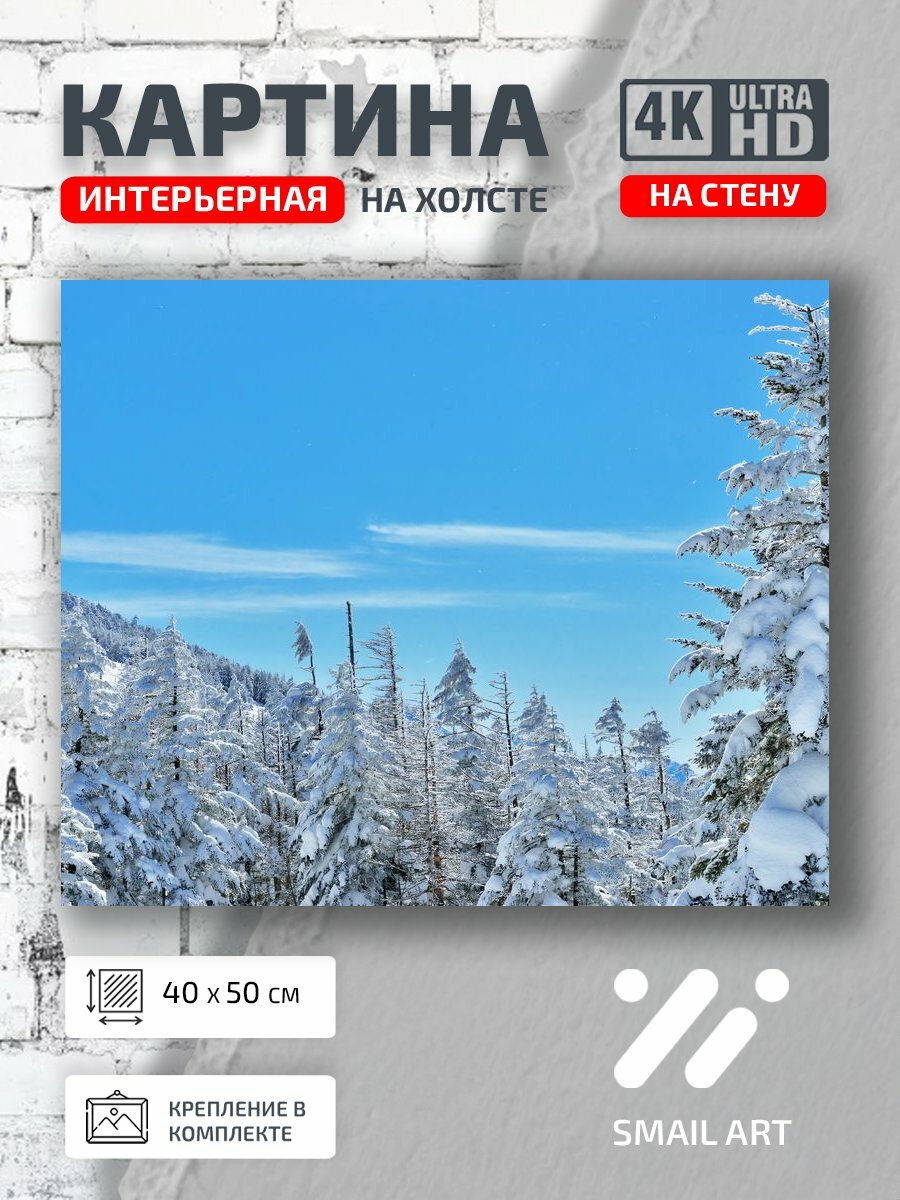 Картина на холсте интерьерная 40 на 50 на стену Зима mountain для офиса пейзаж интерьер