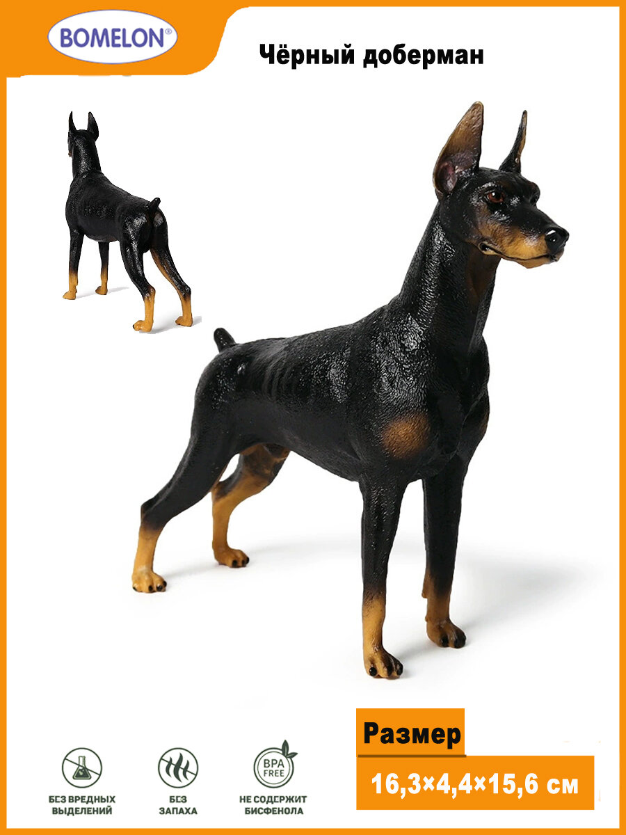 Фигурки домашних животных, Чёрный доберман 16 см Большой(Black Doberman), Реалистичная фигурка собаки , Безопасный пластик, развивающие игрушки для детей 3+