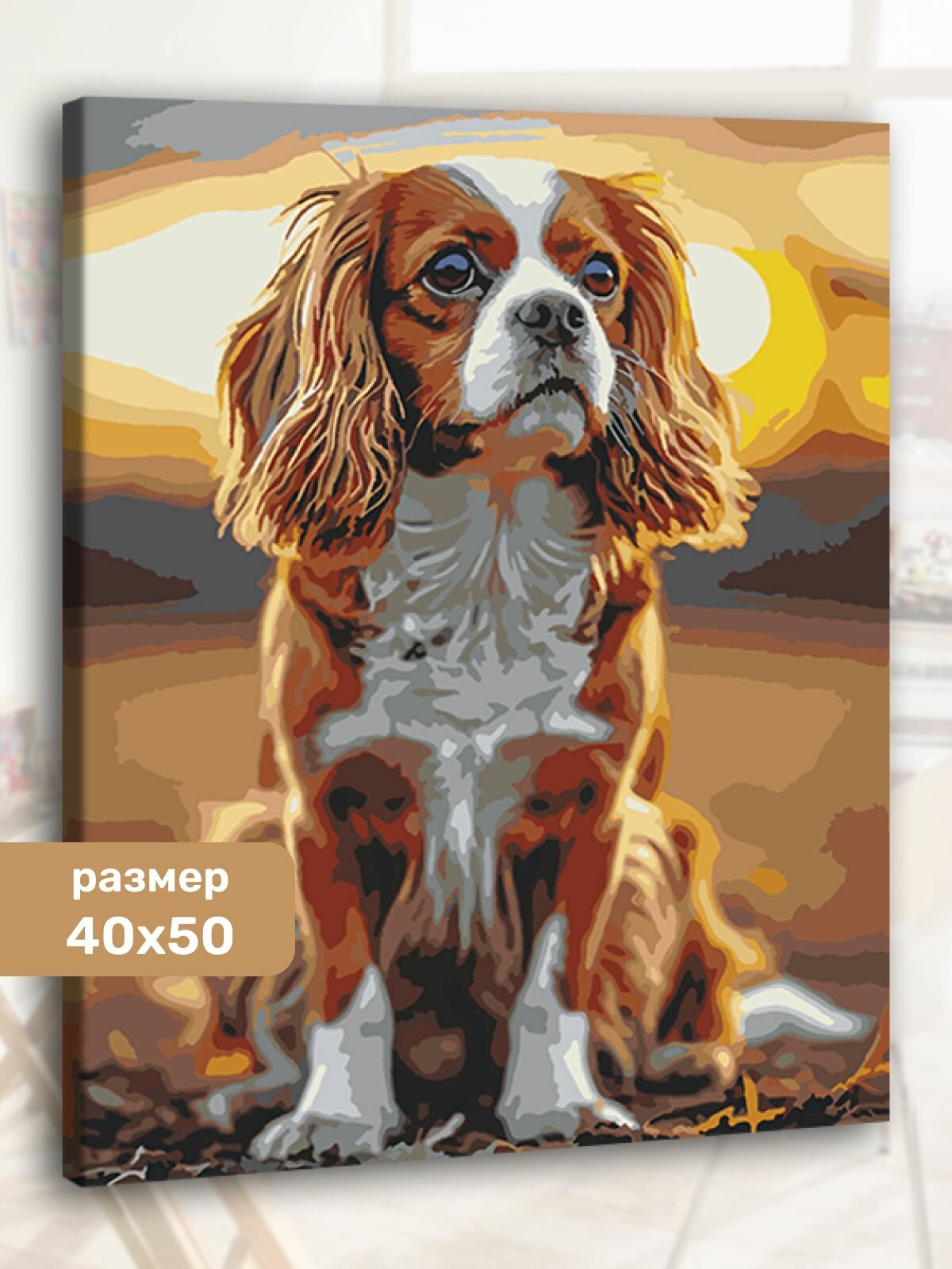 Картина по номерам на холсте Кавалер-кинг-чарльз спаниель