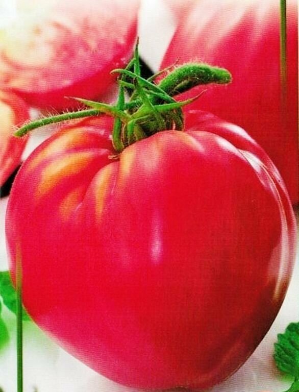 Коллекционные семена томата Розовая реликвия Бенедикта