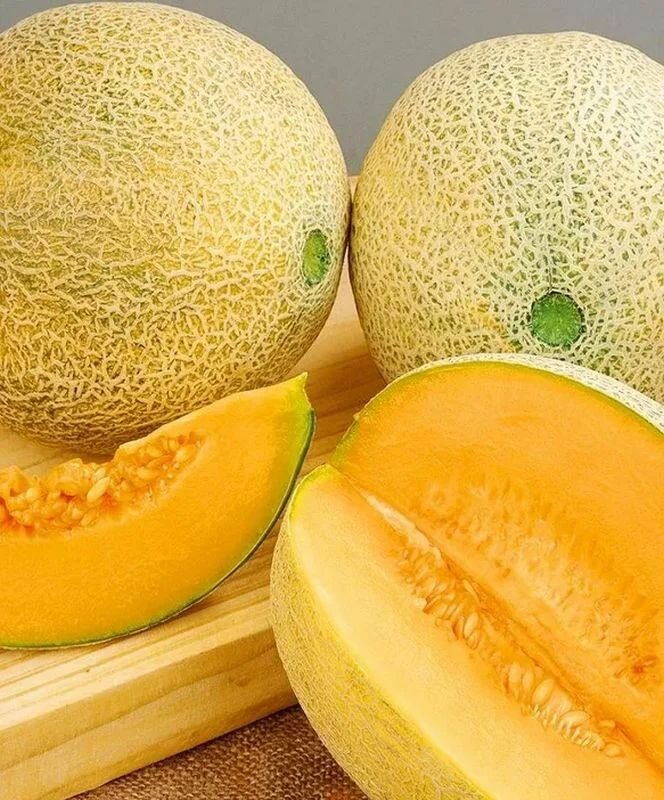 Коллекционные семена дыни Роксолана F1