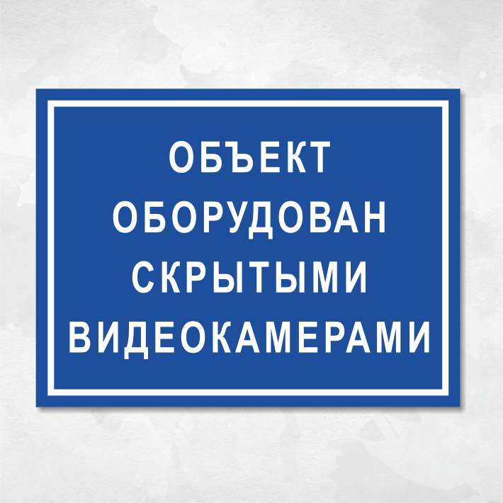 Табличка "Объект оборудован скрытыми видеокамерами", 40х30 см, ПВХ