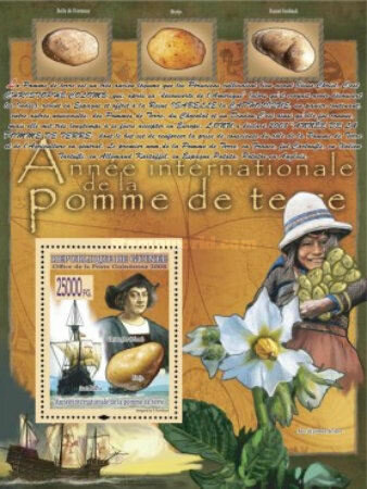 Почтовые марки Гвинея 2008г. "Международный год картофеля и Христофора Колумба" Христофор Колумб, Парусники MNH