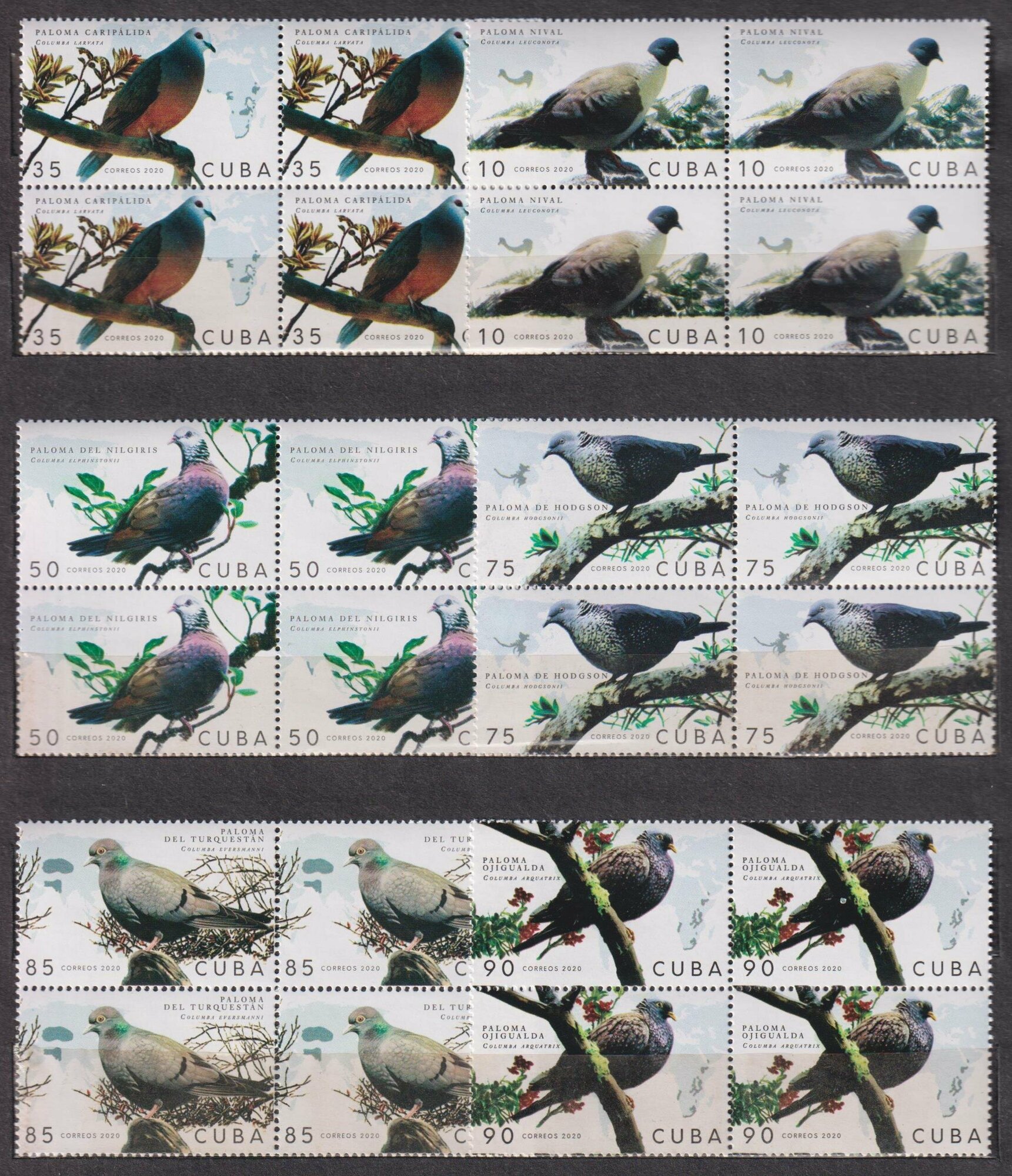 Почтовые марки Куба 2020г. "Голуби" Птицы, Голуби MNH